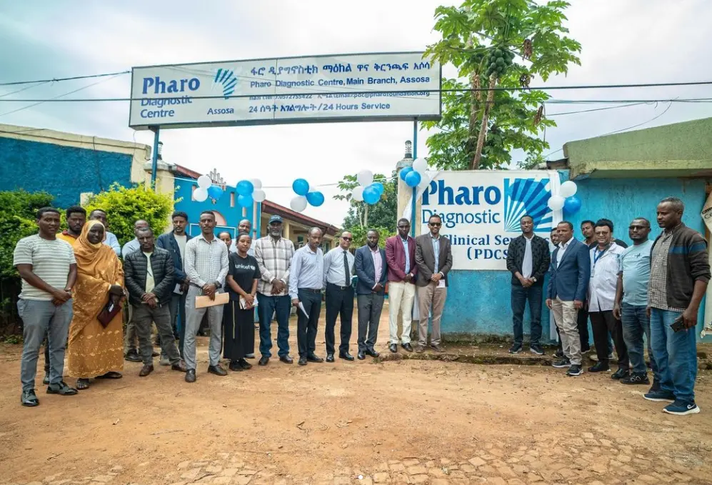 Working for Pharo Foundation | Pharo Foundation